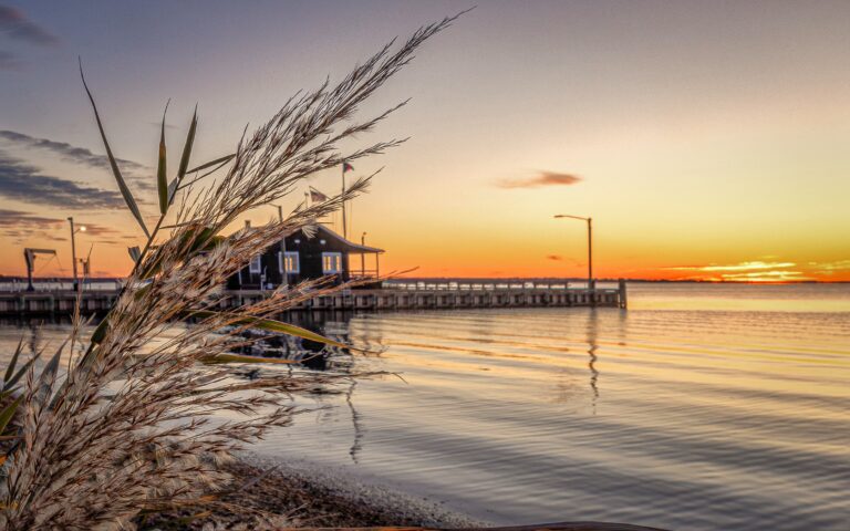 Home - Village of Bellport NY